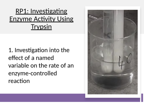 3.1.4.2 L10 RP1 Trypsin Activity (AQA A-level Biology) | Teaching Resources