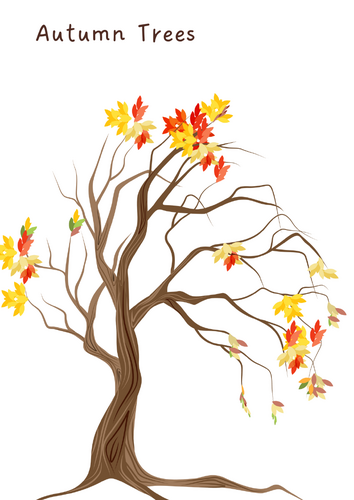 Autumn Trees | Teaching Resources