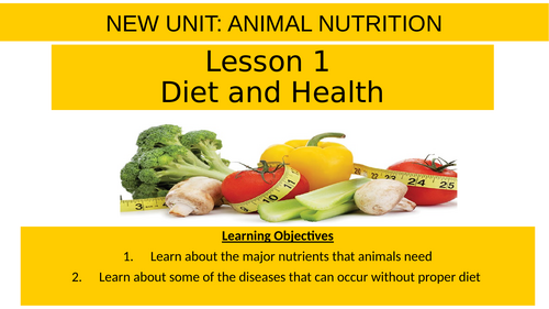 GCSE - Diet and Health | Teaching Resources