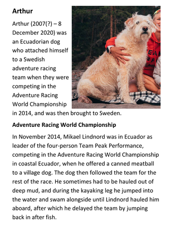 Arthur the dog Handout | Teaching Resources