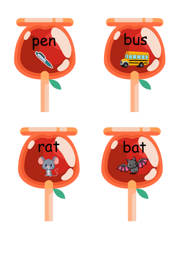 Bonfire Night CVC words | Teaching Resources