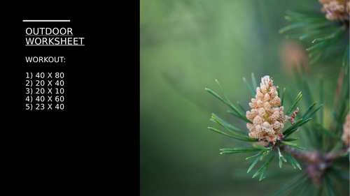 OUTDOOR WORKSHEET 24 | Teaching Resources