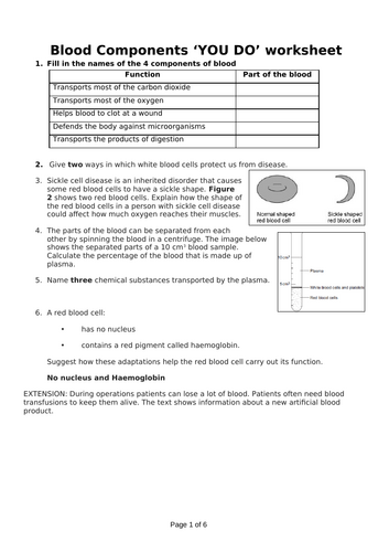 Blood components and vessels | Teaching Resources