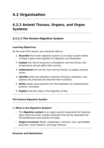 The Human Digestive System - Lesson for GCSE Biology | Teaching Resources
