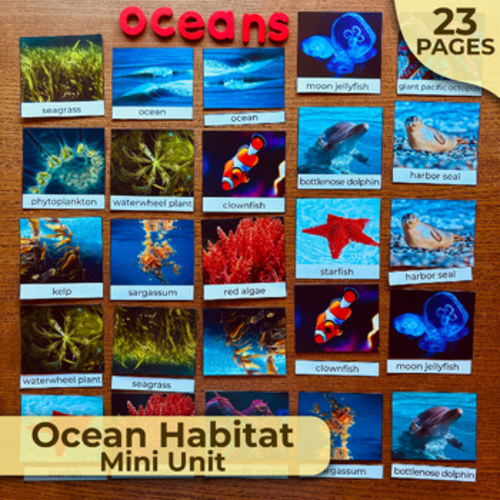 Oceans | Teaching Resources