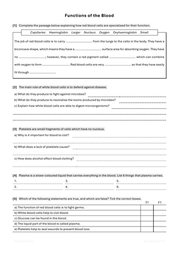 The Blood Worksheets | Teaching Resources