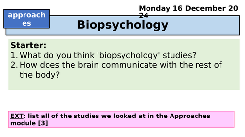 A Level Psychology - Biopsychology - neurons and synapses | Teaching ...