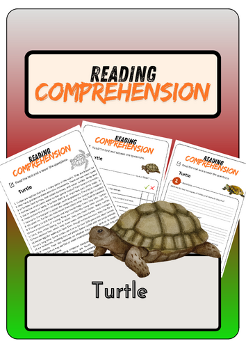 Reading Comprehension Turtle Solutions Teaching Resources