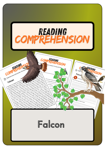 Reading Comprehension - Falcon + Solutions | Teaching Resources