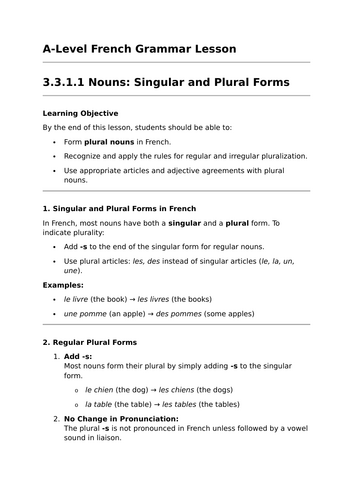 Singular and Plural Nouns - A-Level French Grammar | Teaching Resources