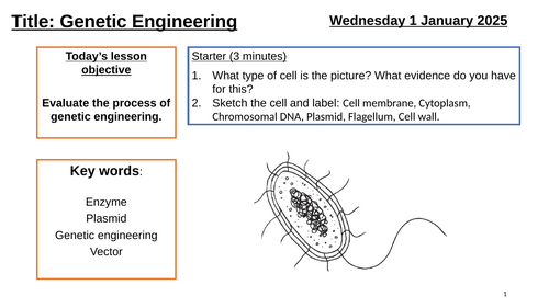 Aqa Gcse Biology Lesson 18 Genetic Engineering Inheritance Variation And Evolution Topic