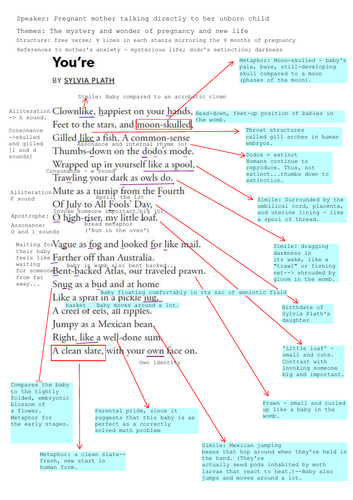 Annotated Version You're by Sylvia Plath | Teaching Resources
