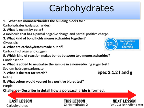 Carbohydrates 2- A-level Biology OCR A (Module 2) | Teaching Resources