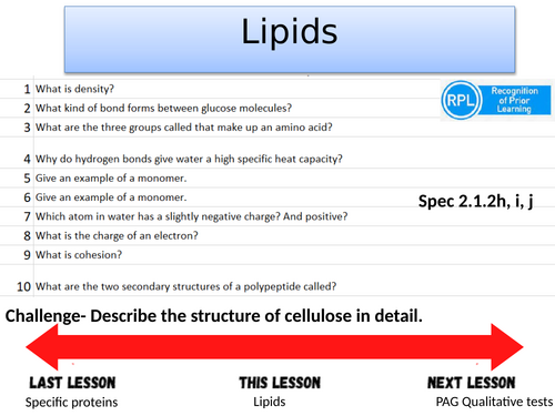 Lipids- A-level Biology OCR A (Module 2) | Teaching Resources