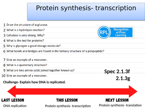 Protein synthesis- Transcription- A-level Biology OCR A (Module 2 ...