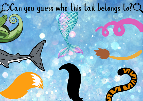 Can you guess who this tail belongs to? | Teaching Resources