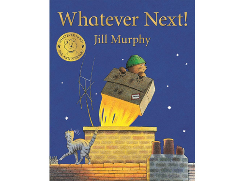 "Whatever Next" story | Teaching Resources