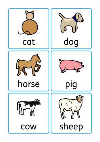 Animals | Teaching Resources