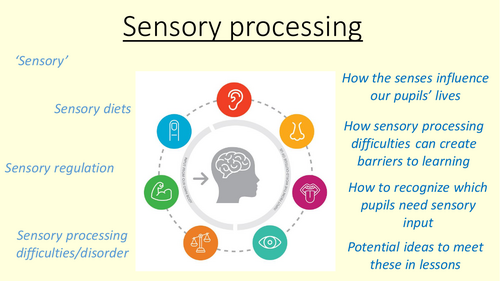 sensory processing | Teaching Resources