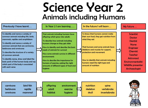 Y2 Science steps in Learning | Teaching Resources