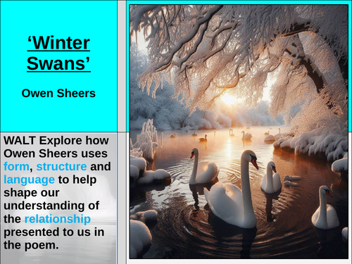 Winter Swans Love and Relationships Poetry | Teaching Resources