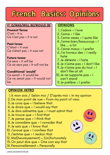 French Basics: Opinions | Teaching Resources