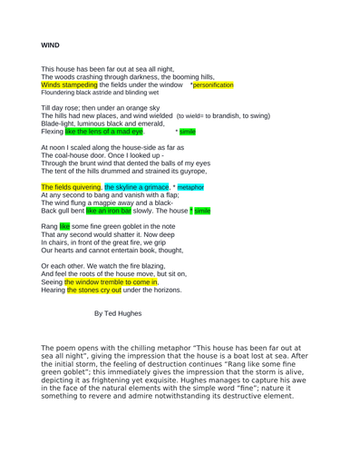 iGCSE English Literature poetry analysis "Wind" by Ted Hughes ...