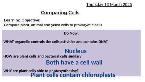 Comparing cells | Teaching Resources