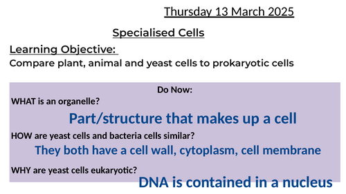 specialised cells | Teaching Resources