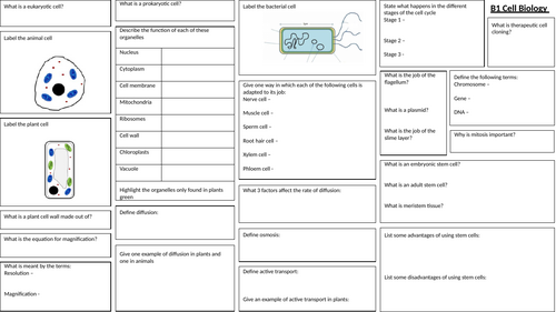 Work mat - end of topic revision | Teaching Resources