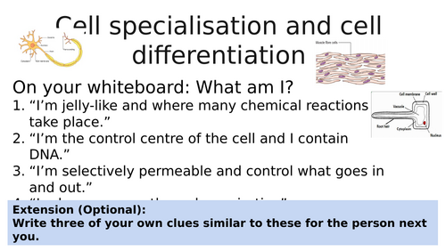AQA GCSE Biology B1 Cell Specialisation | Teaching Resources