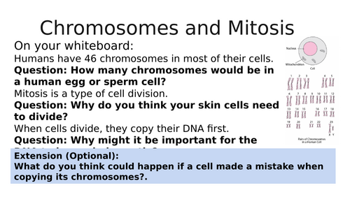 AQA GCSE Biology B1 Mitosis Cell Division | Teaching Resources