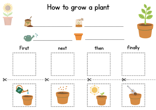 How to grow a plant EYFS | Teaching Resources
