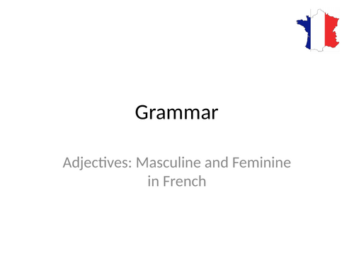 Describing people using masculine and feminine adjectives | Teaching ...