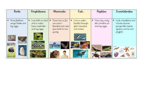 Science Classification KS2 - Animal Groups Identification Sheet | Teaching Resources