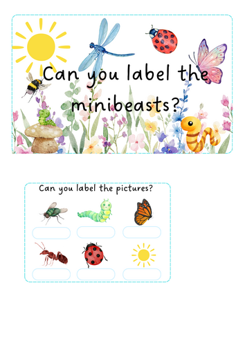 Minibeasts - Labelling | Teaching Resources