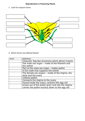 Plant reproduction (Reproduction topic) | Teaching Resources