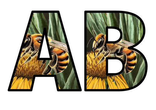 Bee Flower Pollination Lettering Set Display Title Letters Numbers ...