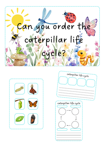 Minibeasts - Caterpillar life cycle | Teaching Resources