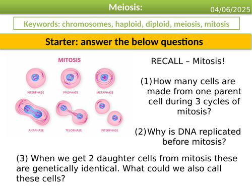 GCSE biology - Meiosis | Teaching Resources