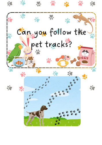 Pets - Animal tracks | Teaching Resources