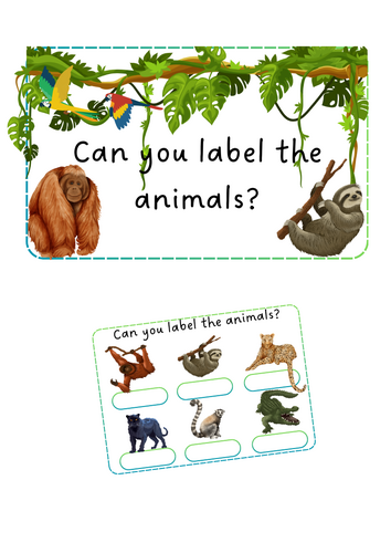 Jungle Animals - Label animals | Teaching Resources
