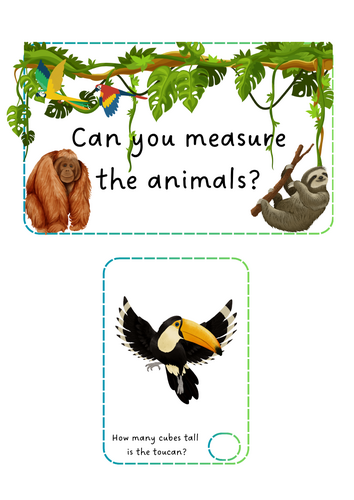 Jungle animals - Measure animals | Teaching Resources