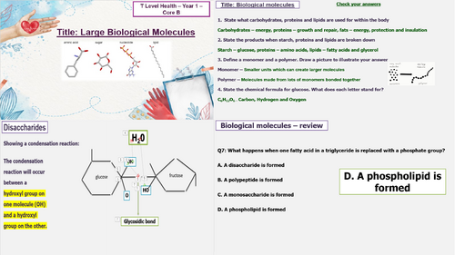Biological (Large) Molecules - T Level Health - Core B1 Science ...