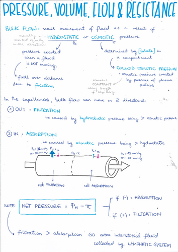 IB Diploma and A level Revision Notes - Pressure and blood flow ...