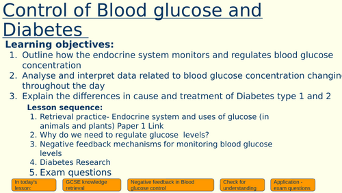 The Control of Blood glucose/ Diabetes | Teaching Resources