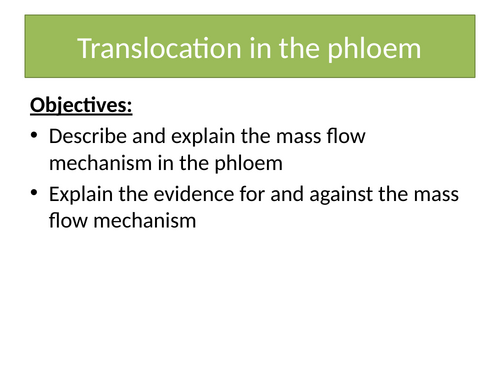 Translocation and evidence for mass flow in phloem. AQA A level Biology ...