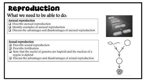 16 Reproduction revision notes | Teaching Resources