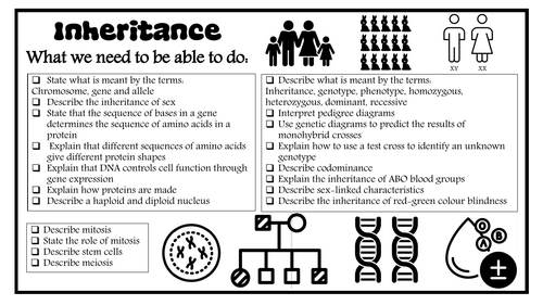 17 Inheritance revision notes | Teaching Resources