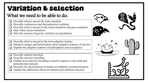 18 Variation and Selection revision notes | Teaching Resources